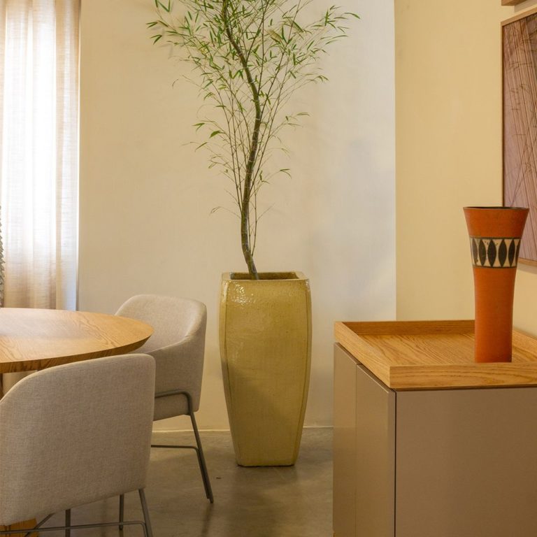 Plantas para vaso - 35 Ideias, vaso grandes e pequenos