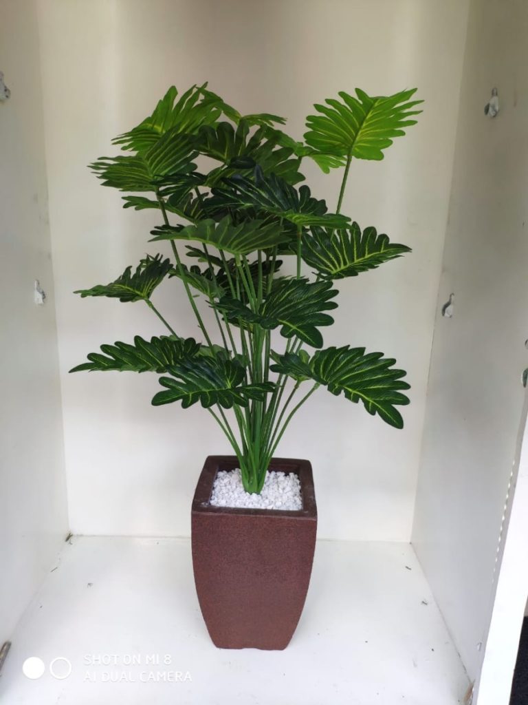 Plantas para vaso - 35 Ideias, vaso grandes e pequenos