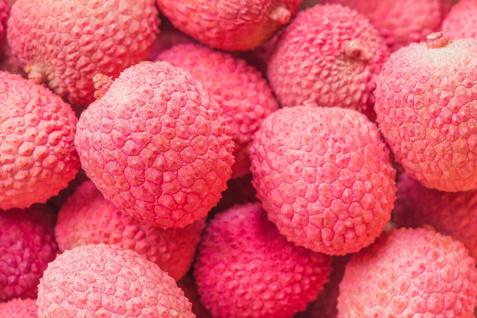 Lichia: características da árvore e fruta, Litchi chinensis 2026